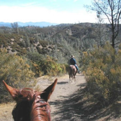 Photos – R Wild Horse Ranch