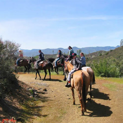 Photos – R Wild Horse Ranch