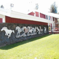 Photos – R Wild Horse Ranch