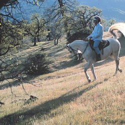 Photos – R Wild Horse Ranch