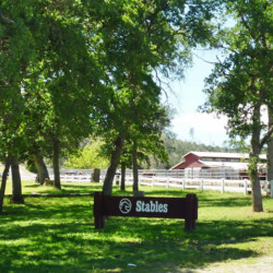 Photos – R Wild Horse Ranch